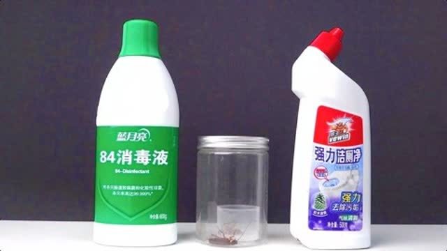 84消毒液和洁厕灵混合,能灭蟑螂吗?一定要清楚哦