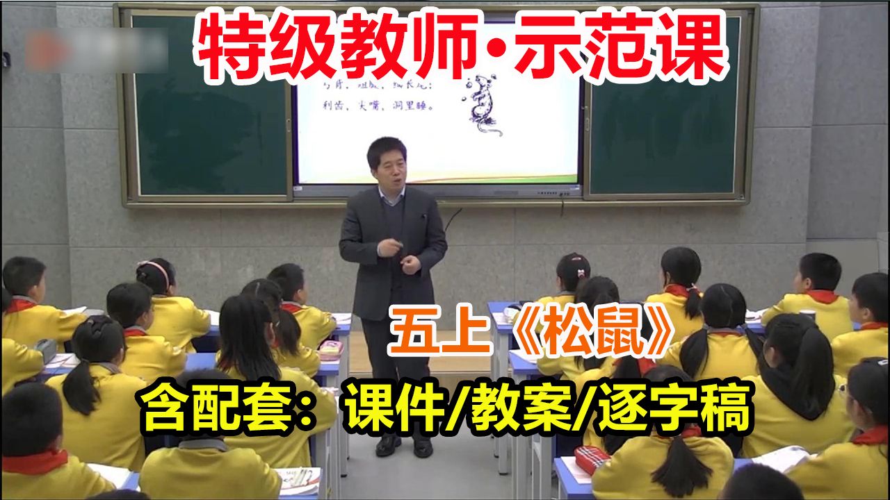 特级教师示范课《松鼠》优质公开课,有配套课件/教案/逐字稿。5130-2