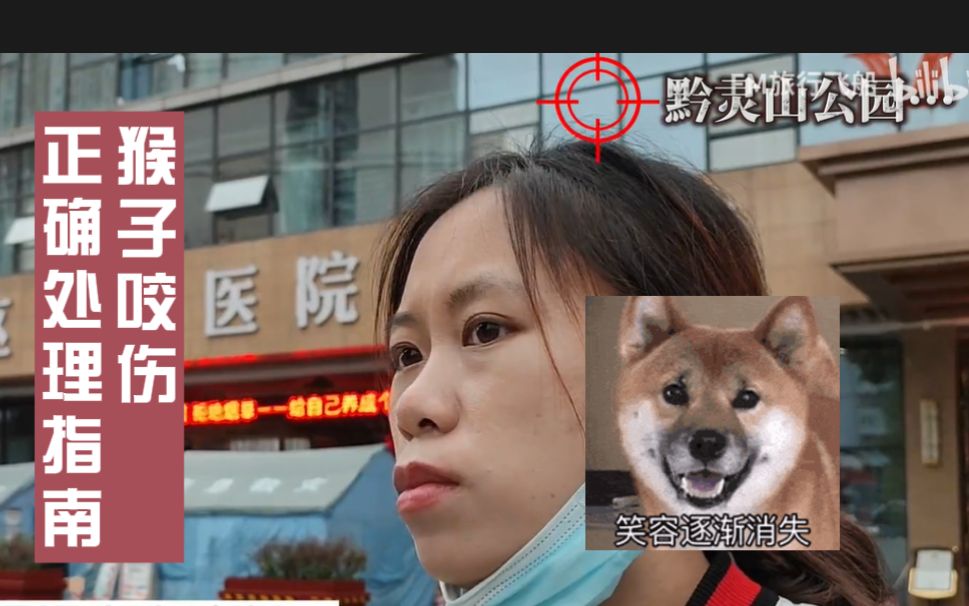 ...看这个!猴子咬伤正确处理指南 不说了,我得打疫苗去辽(公园给报销!)