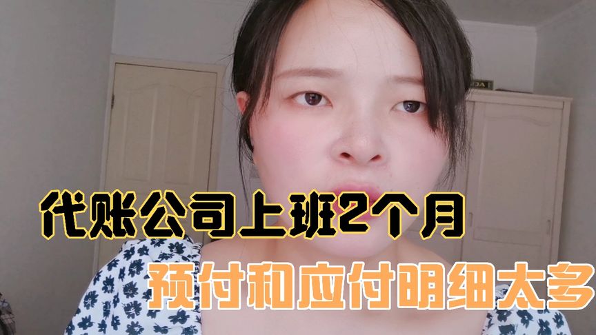 代账公司上班2月,一般纳税人预付应付明细太多,这样做可以吗?