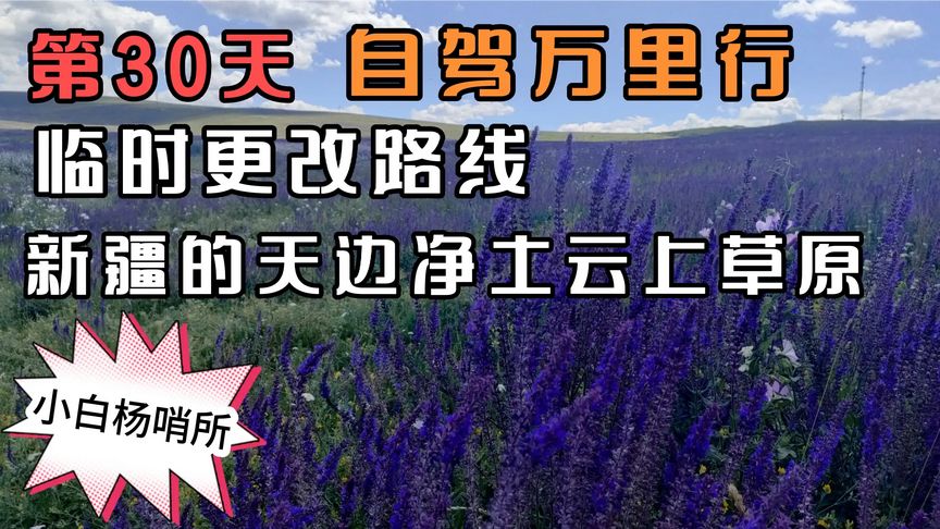 大名鼎鼎的小白杨哨所原来在新疆!原生态免费风景,一天两次核酸