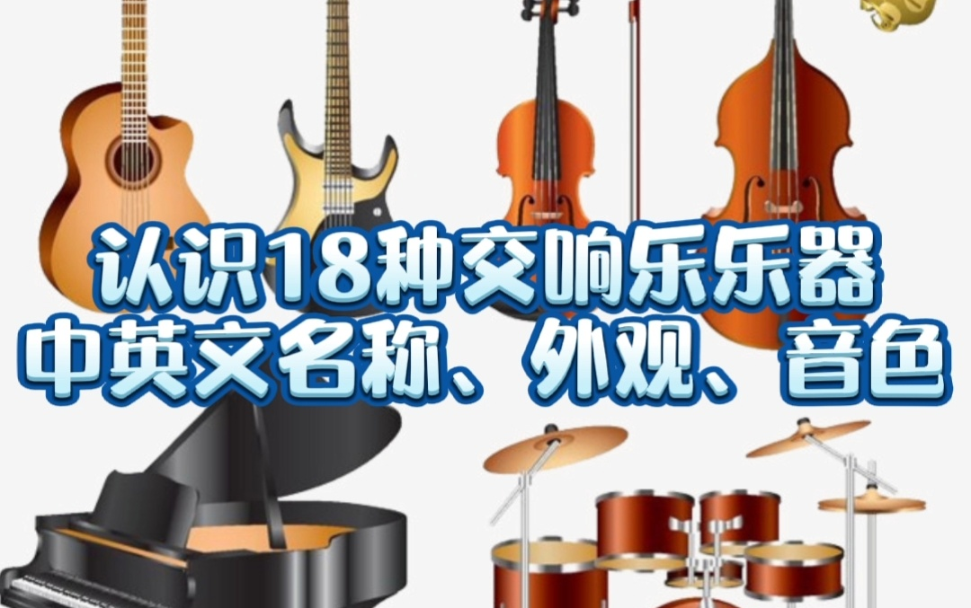 ...、小提琴、中提琴、大提琴、低音提琴、短笛、长笛、黑管、双簧管...