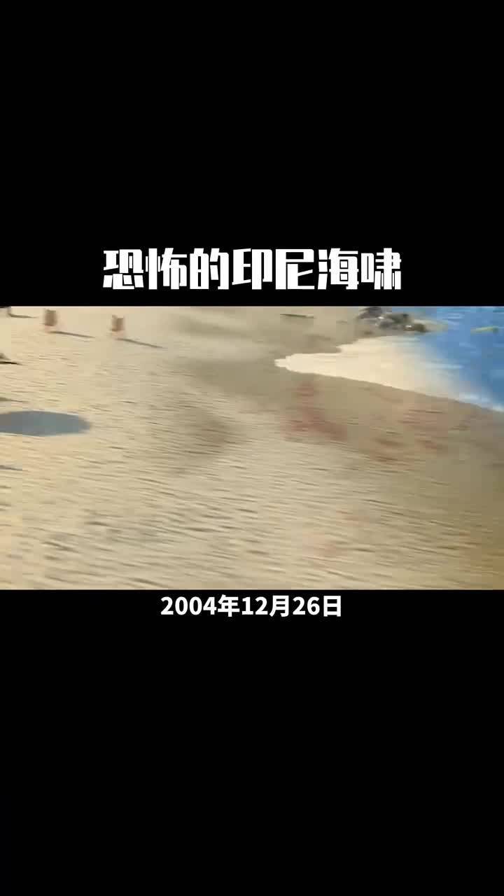 当年的印尼海啸有多可怕?