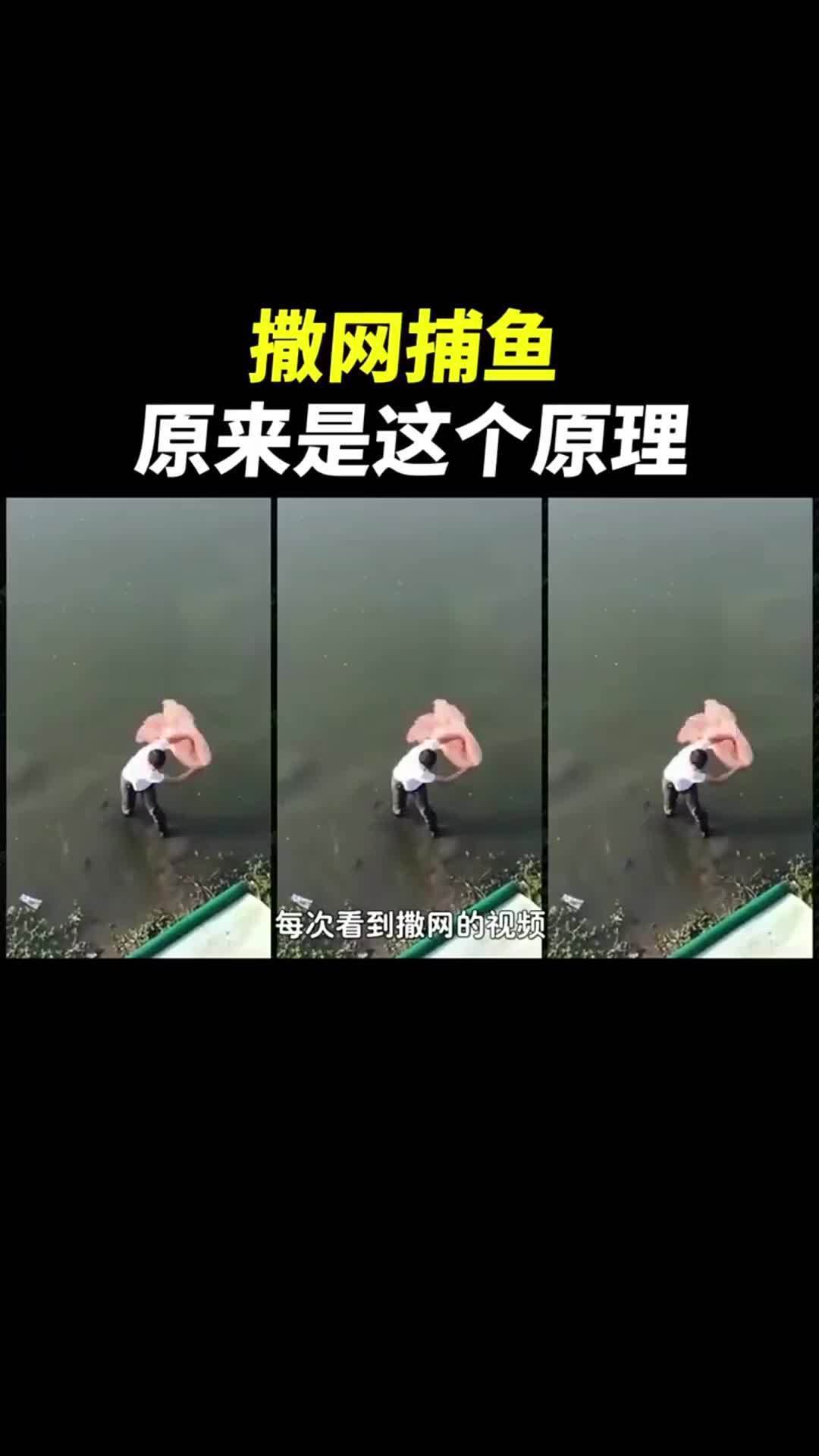 撒网捕鱼 原来是这个原理 #冷知识