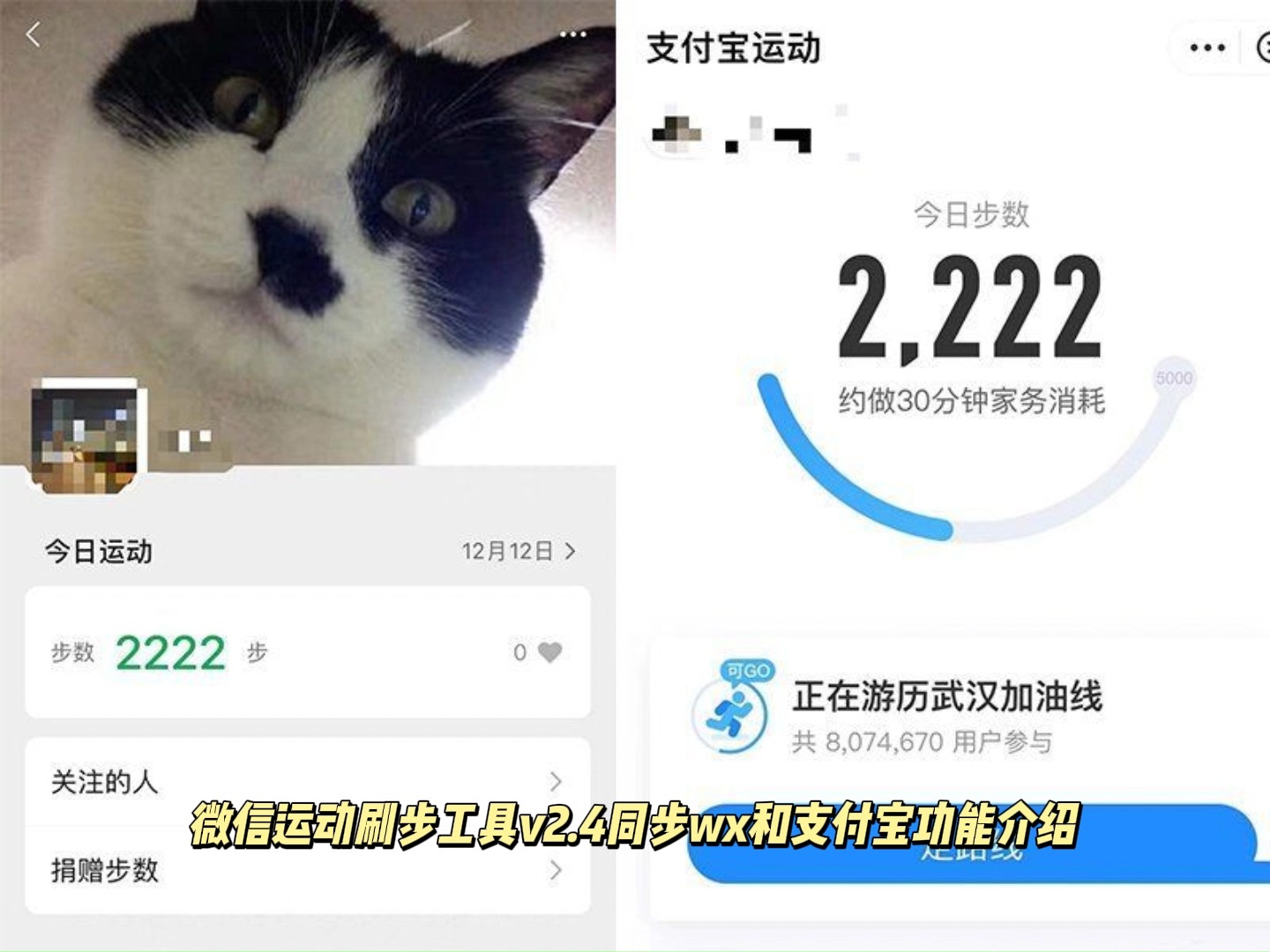 微信运动刷步工具v2.4同步wx和支付宝,具体操作看使用说明、看使用...