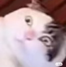 7iy_ 