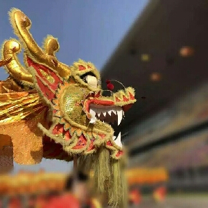 龙舞中华 
