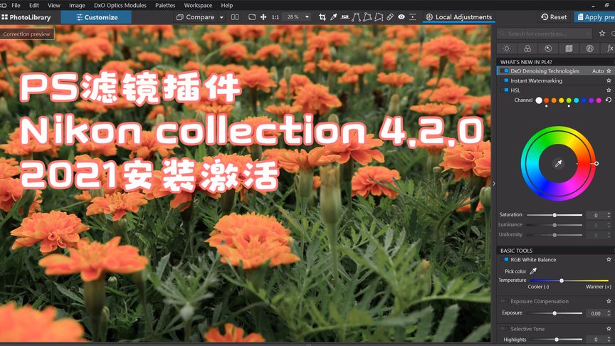 PS LR 插件滤镜NikCollection V4.2.0 2021安装激活使用方法