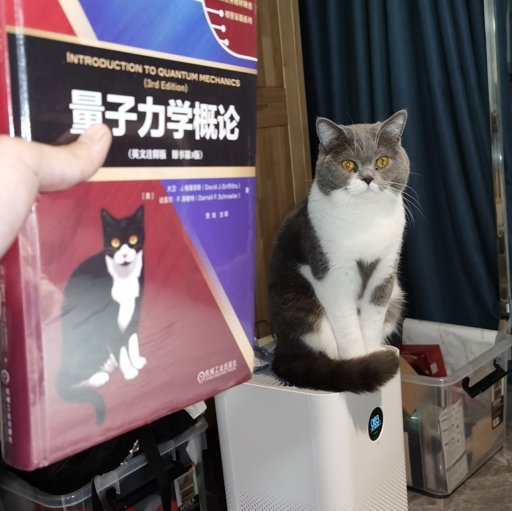 开箱喵君 
