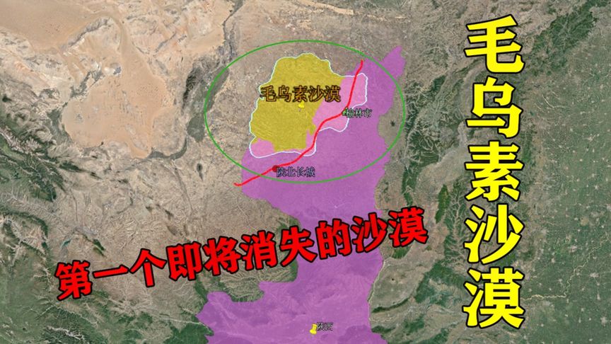 中国第一个即将消失的沙漠:毛乌素沙漠变毛乌素森林