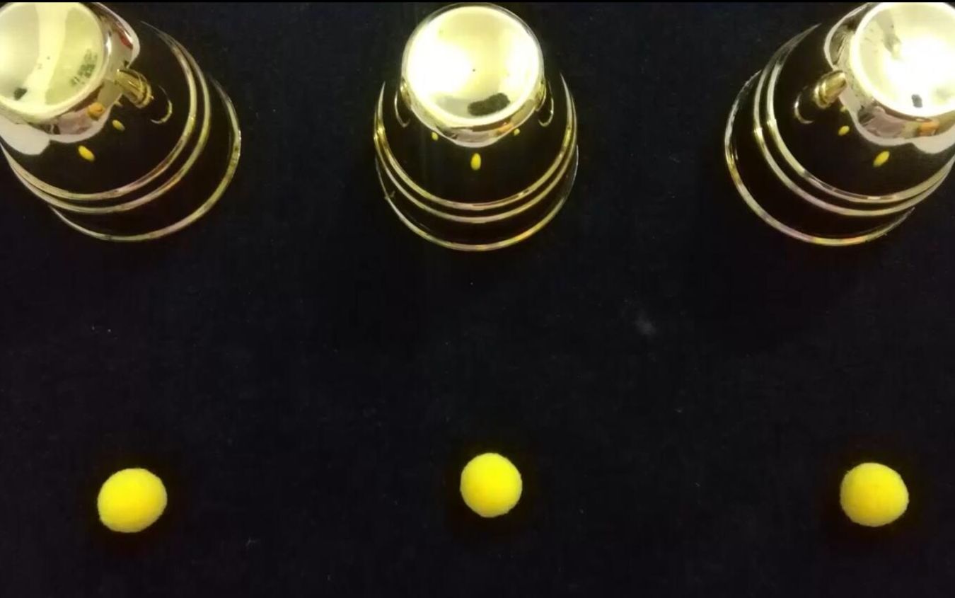 魔术教学;三个球与三个杯子的把戏!原来这么简单!