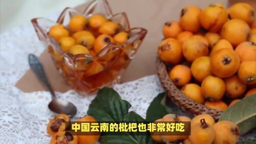枇杷哪里产的好吃?枇杷适合在什么地方种植