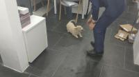 2020年11月6日 下午5:39:04