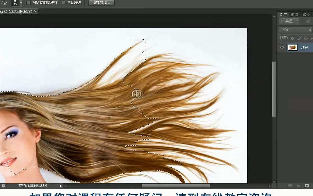 photoshop cs6专业制作设计教程 掌握部分B01-02初阶抠图-调整边缘抠...