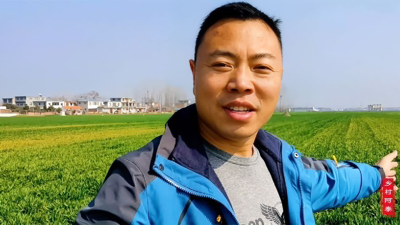 从高原到平原,这里有一望无际的麦田,祖国的大好河山哪儿都美