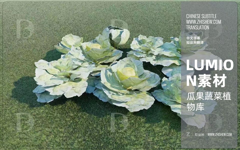 Lumion 这套国产瓜果蔬菜植物素材库,拯救你的乡村设计! 总计140列