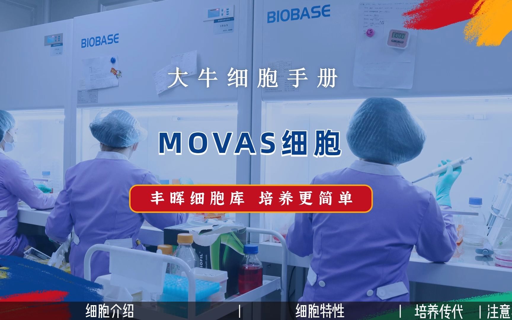 丰晖生物细胞库培养手册——MOVAS细胞培养,小鼠主动脉平滑肌细胞...