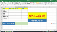 Excel办公技巧:输入密码查看内容,日常办公常用到,学会不吃亏