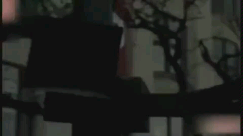 卡廷森林惨案