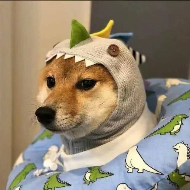 淳淳淳本 