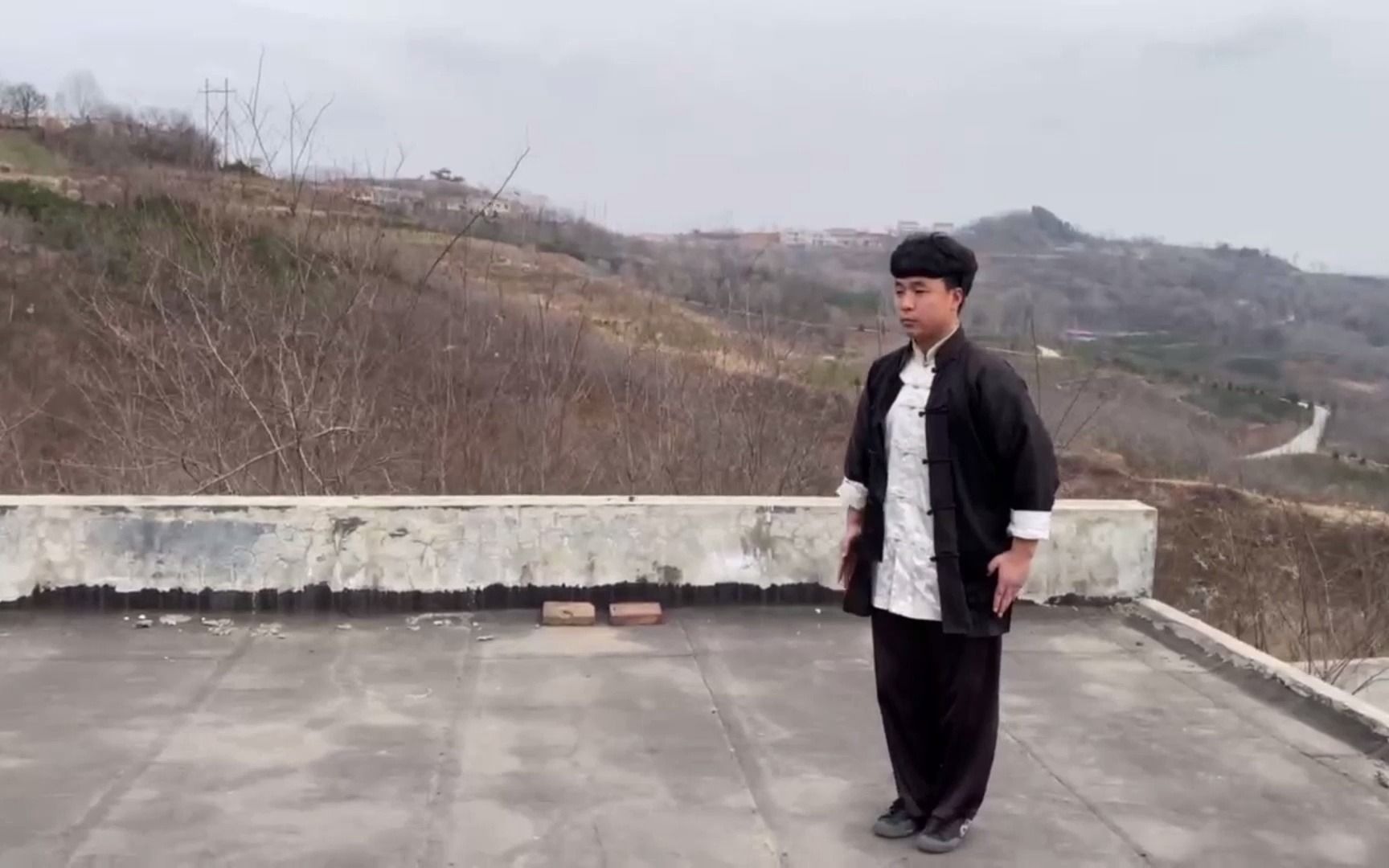 虎拳动作展示,猛虎下山太帅了!