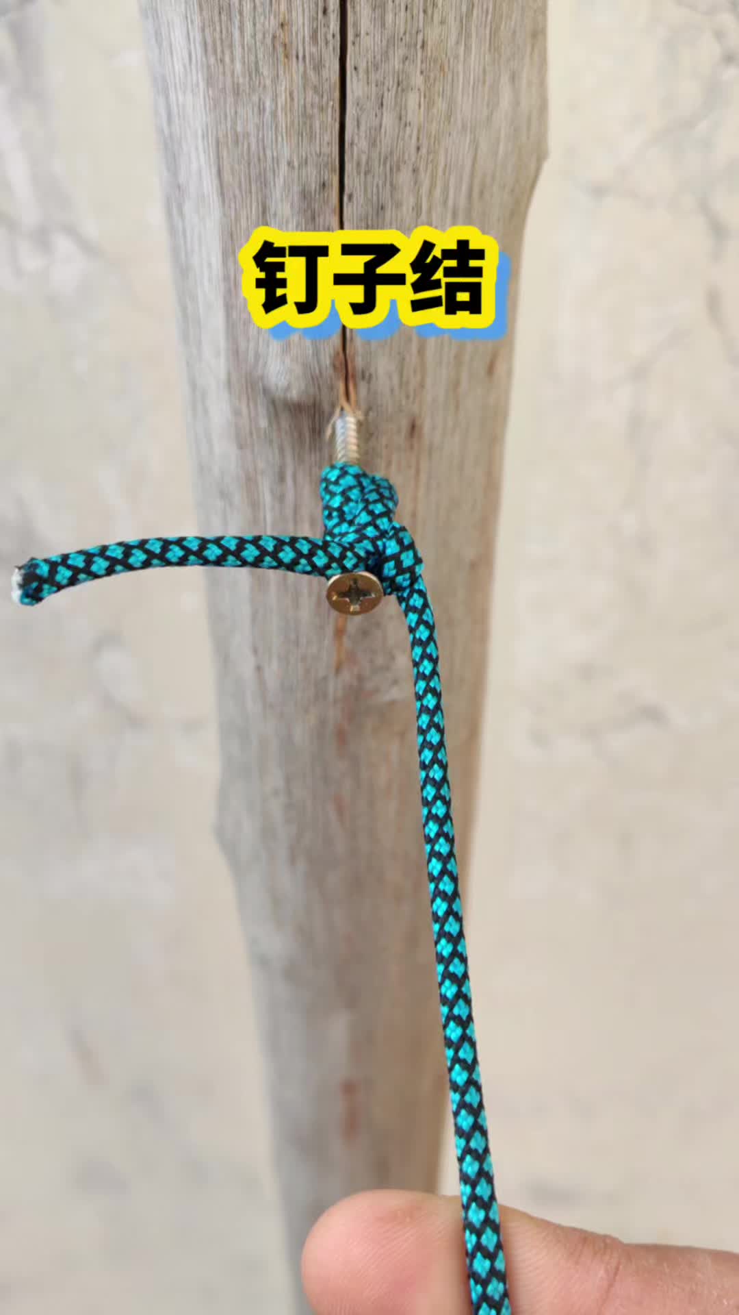 #热点 钉结这样打,木桩拉断都拉不开#绳结 #绳结教程 #小常识今日...