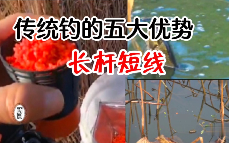传统钓的五大优势,长杆短线