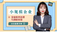 小规模企业 全盘账务处理与纳税申报(第三集)