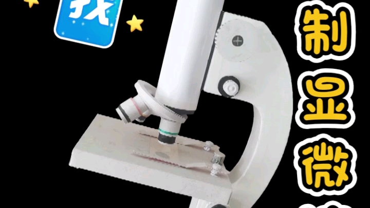 【手工制作】纸盒卡纸自制显微镜模型