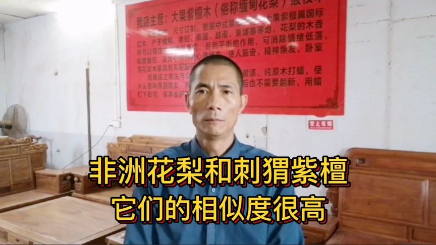 非洲花梨木家具,真的很像刺猬紫檀木家具吗?一起来研究下。