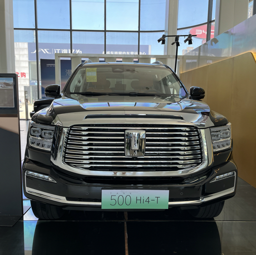 孝感和诚和坦克祥哥 