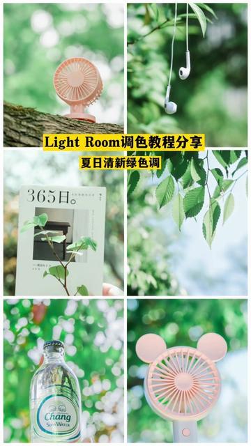 Light,room教程分享【夏日清新绿】lightroom,摄影,.