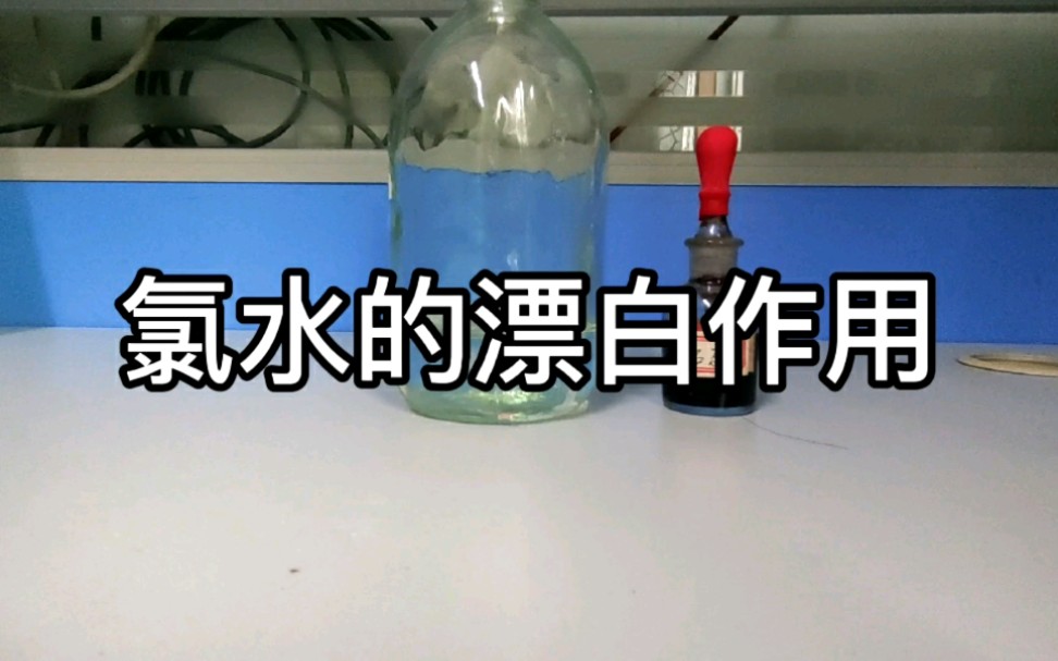 【化学实验】氯水的漂白作用