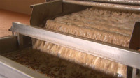 食品厂耗水量有多恐怖?德国食品厂一年节约用水,能省50万!