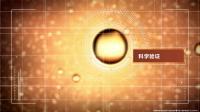 美国修丽可专利-左旋维生素C精华