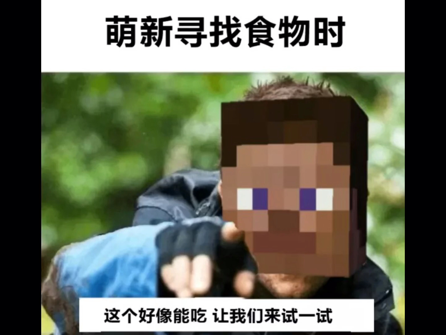 我的世界梗图(3)