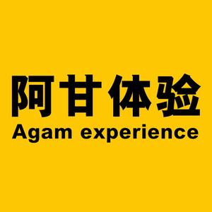 阿甘体验 