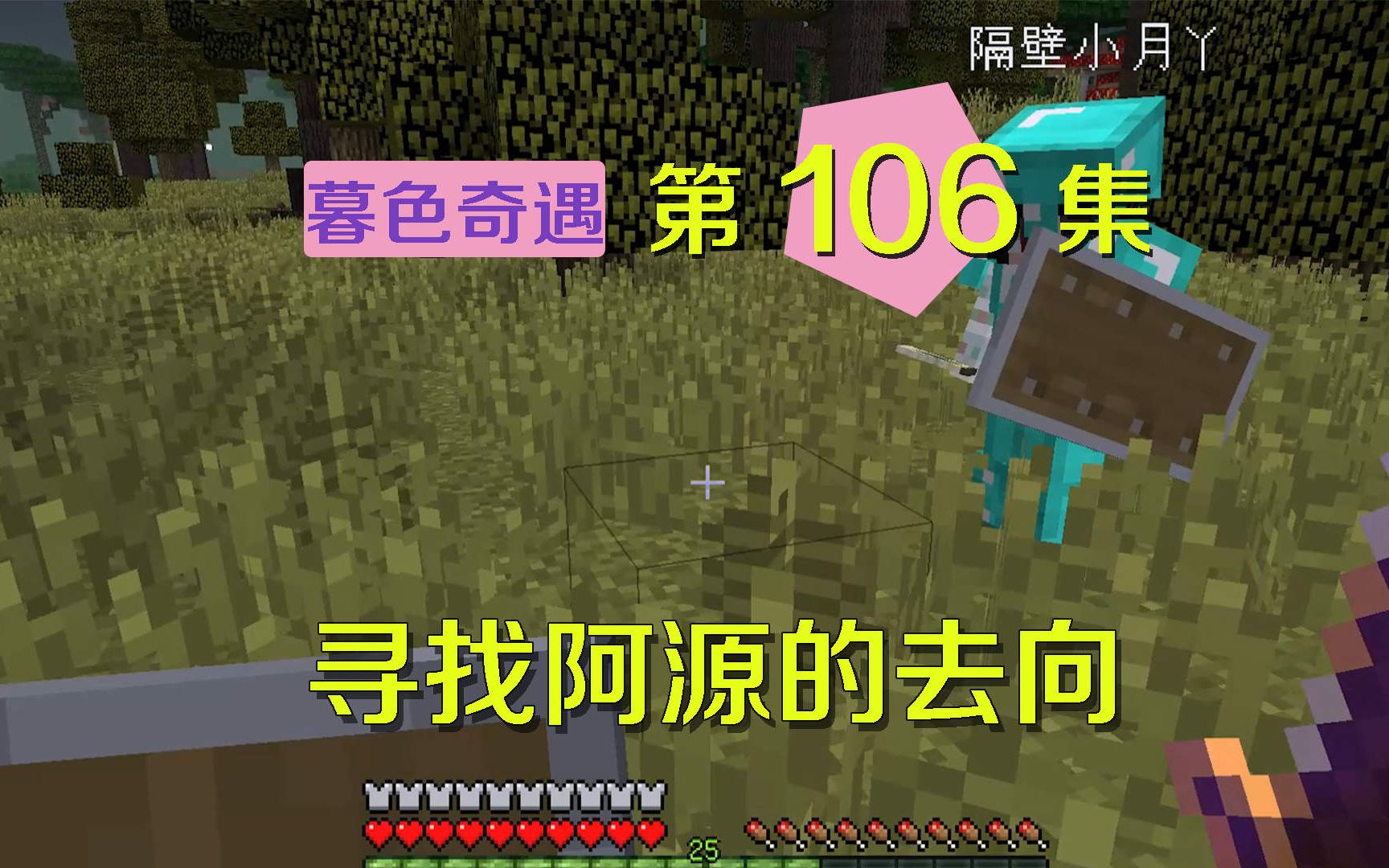我的世界阿阳暮色奇遇106:阿源到底去了哪,我猜测没到暮色森林