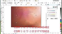 CDR基础教程CDR教程视频CDR基础工具学习CDR填充工具CDR