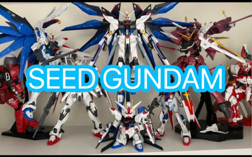 【模型分享】SEED