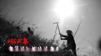 习近平河北行丨生态保护 久久为功——首站走进塞罕坝机械林场