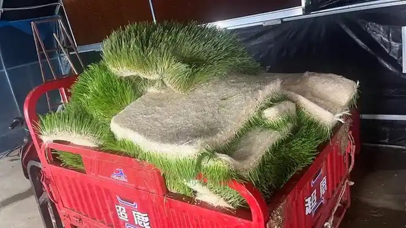 现代化养殖,从这台水培牧草集装箱开始!