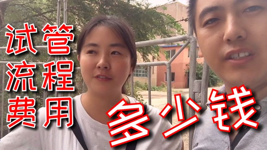 试管夫妻 回应粉丝问题 试管婴儿要花费多少钱 多长周期什么流程