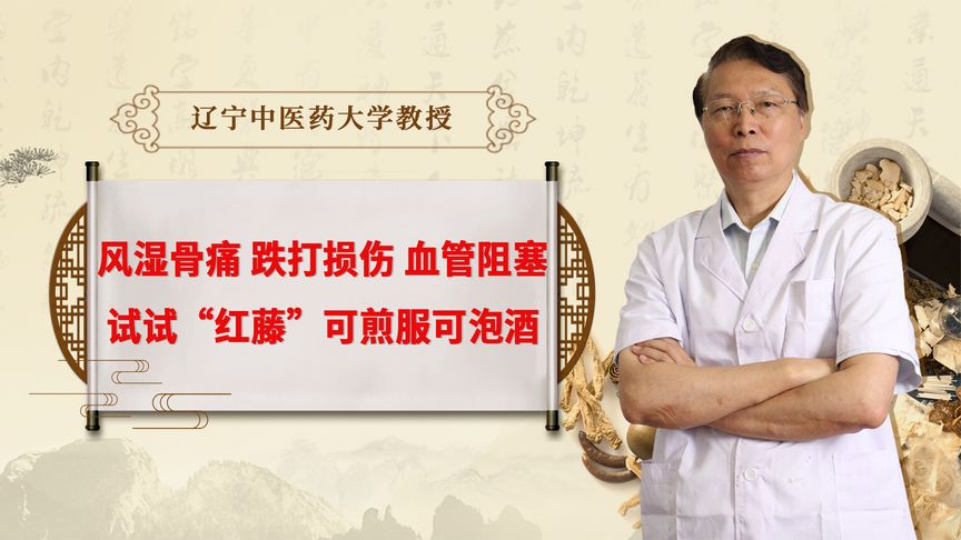 风湿骨痛、跌打损伤、血管阻塞,试试“红藤”,可煎服、可泡酒!
