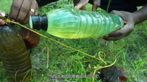 雨伞能保护可乐从楼顶安全落地吗