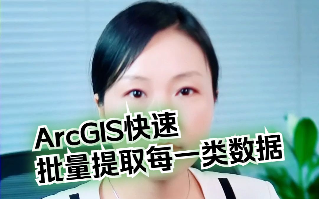 ArcGIS快速批量提取每一类数据