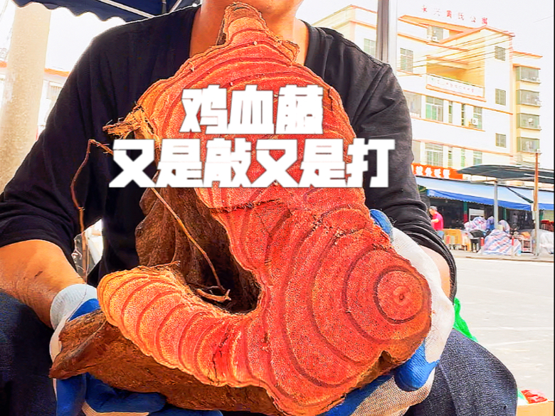 鸡血藤,别人追求的是速度。又是敲又是打的算是追求什么呢