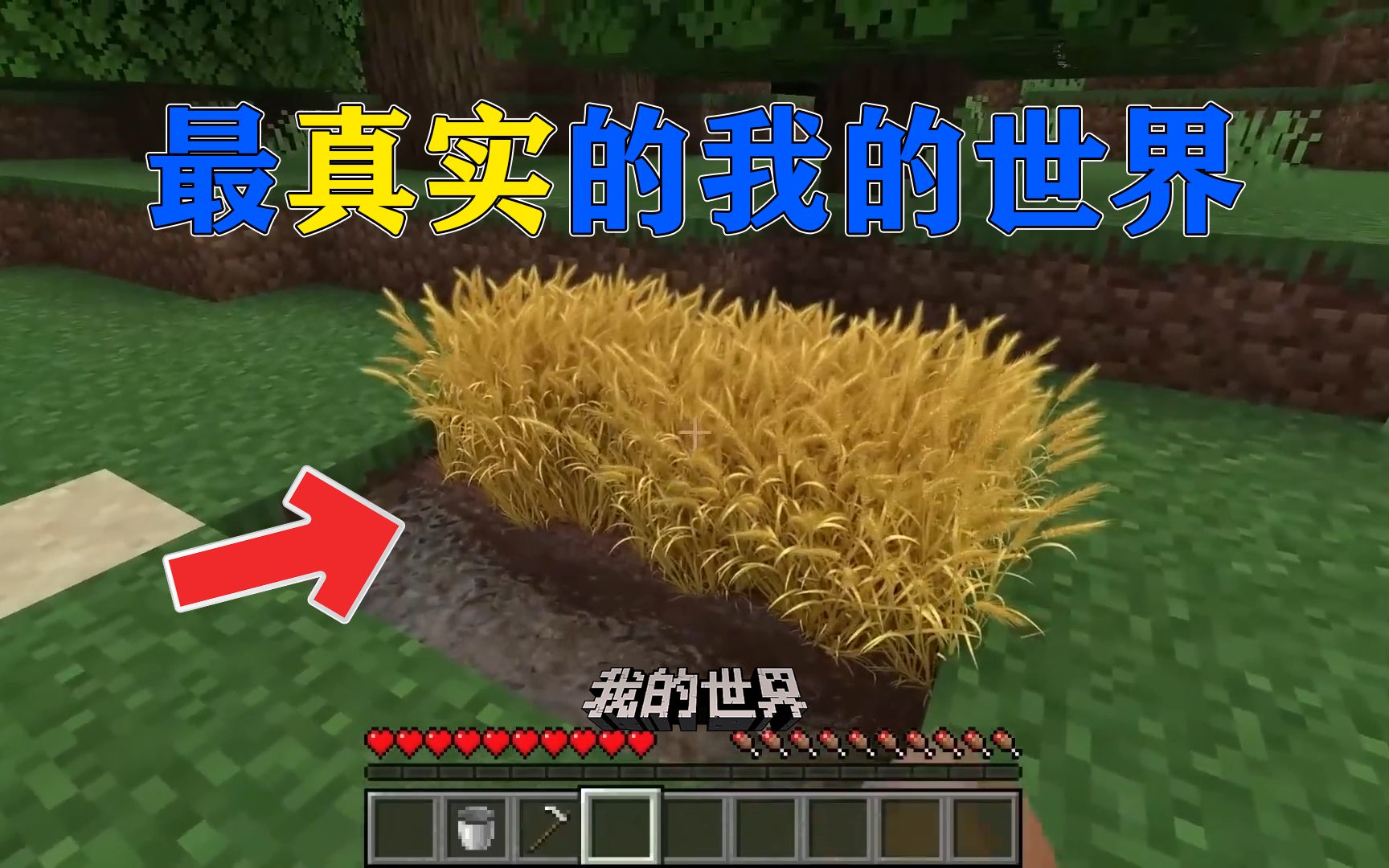 我的世界:最真实的我的世界!