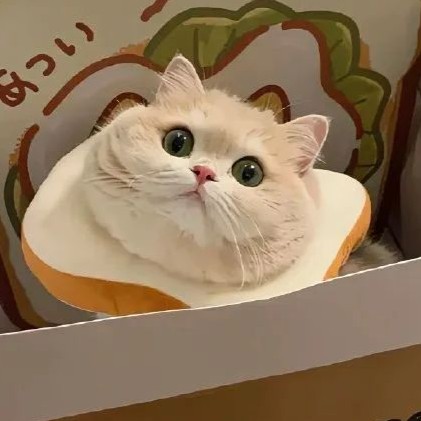 柚又子鱼 