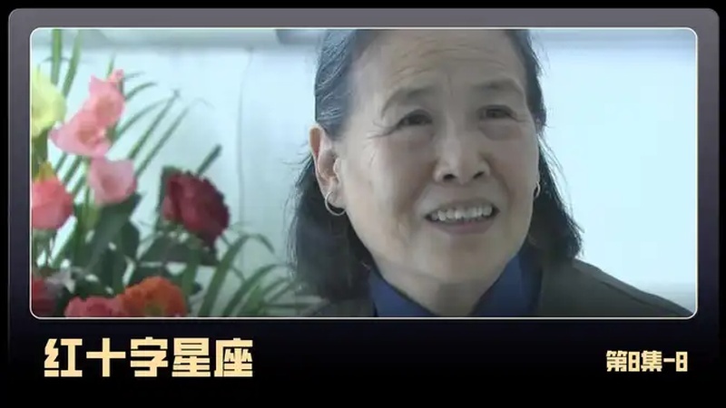 Ana与Naydha的神秘对话,隐藏何意?